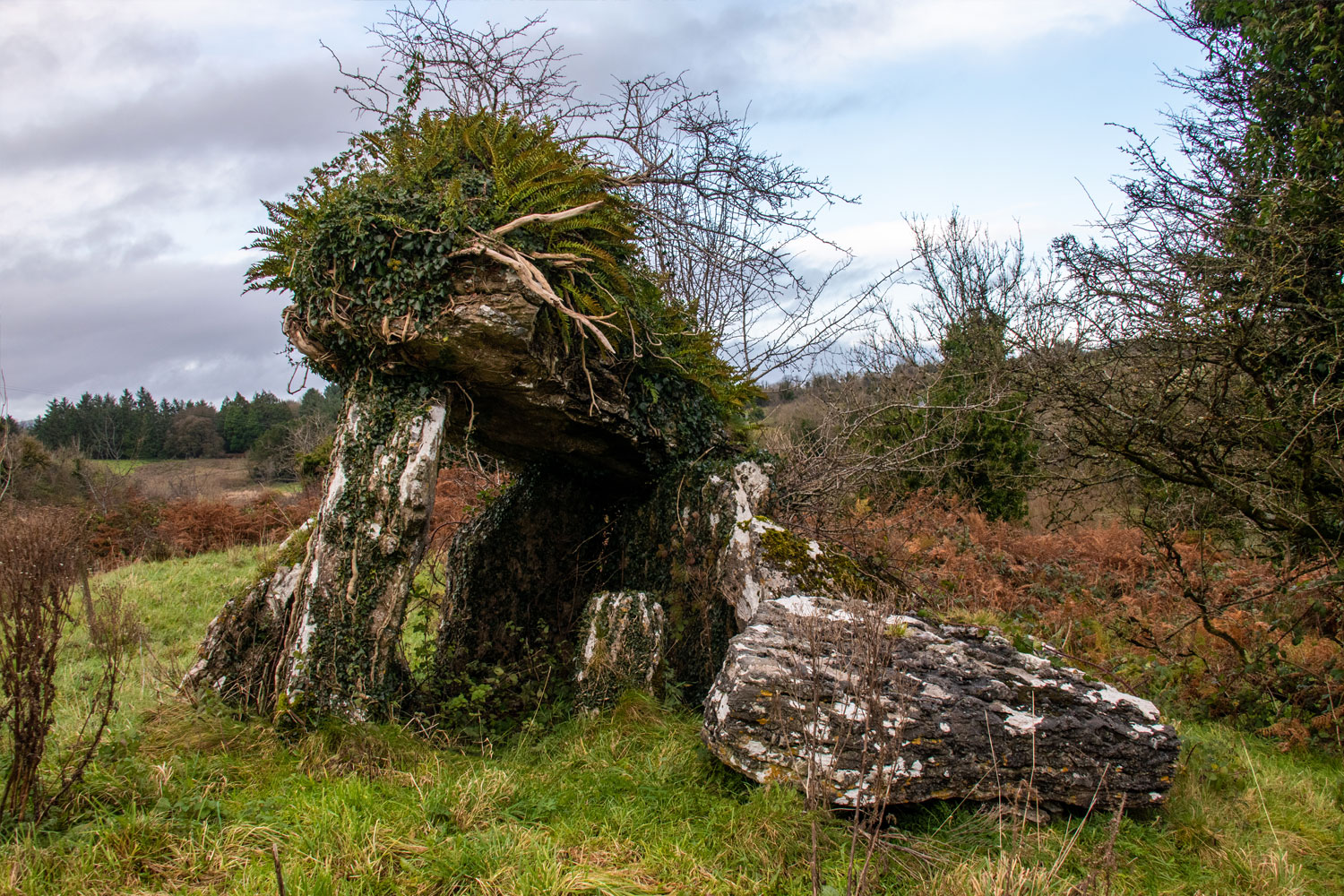Tourist Info – Fenagh.com
